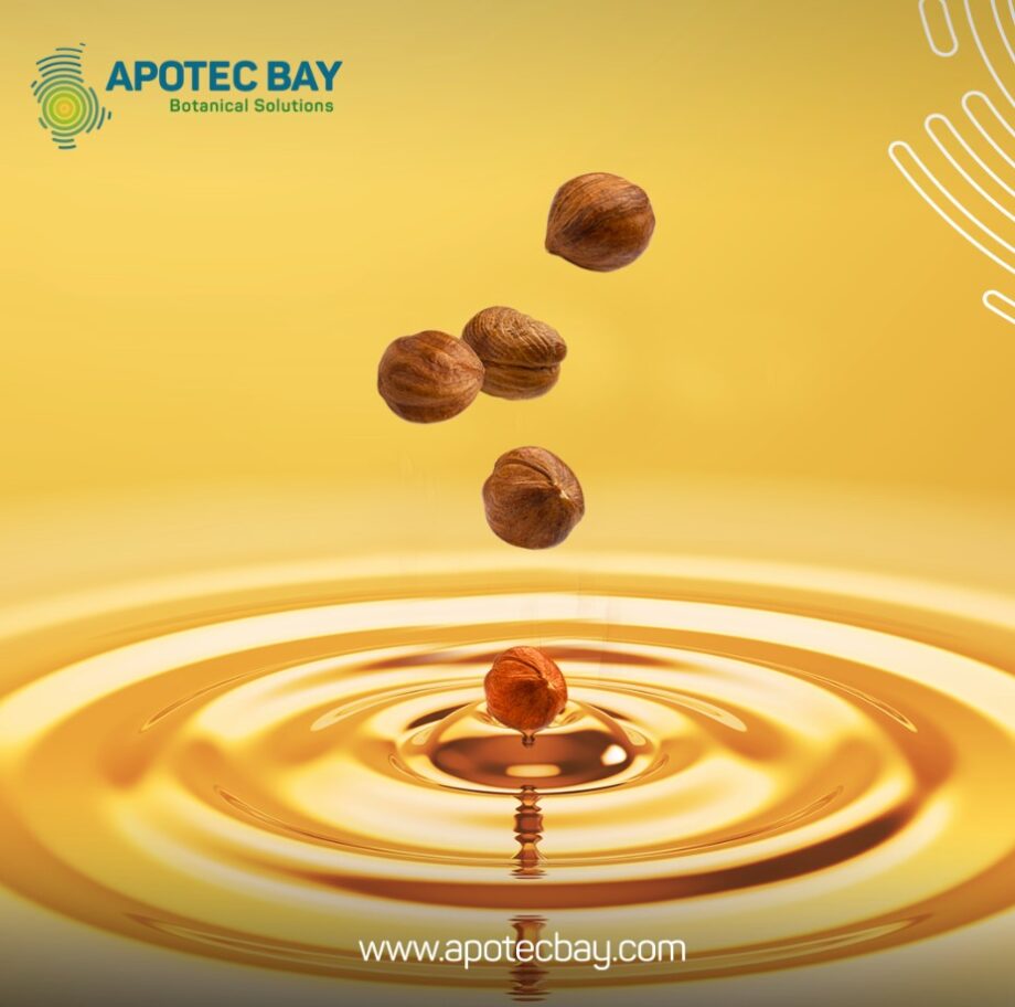 Hazelnut Extract – HerbaromaTrade